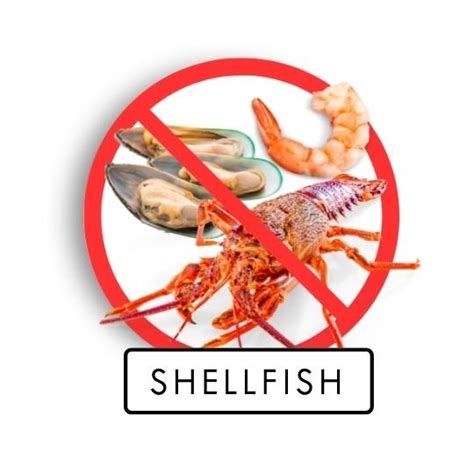 Shellfish Allergy Equal Eats