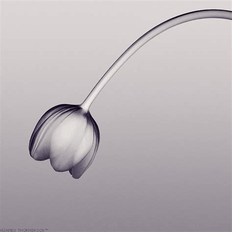 Artist Spotlight James Thornbrook