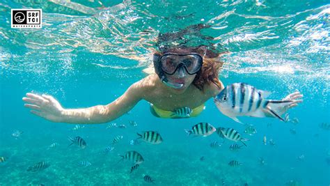 Snorkeling In Providenciales With Surf Tci