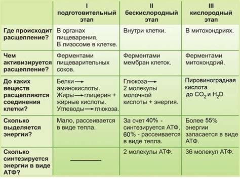 Обмен веществ и превращение энергии Энергетический обмен катаболизм