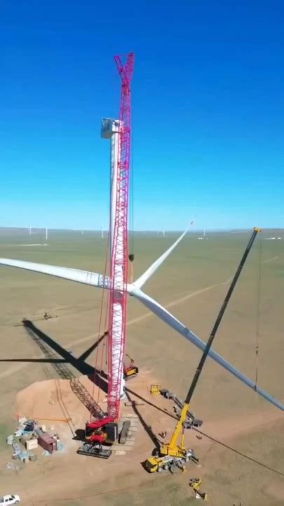 Mihriban D Posted On Linkedin