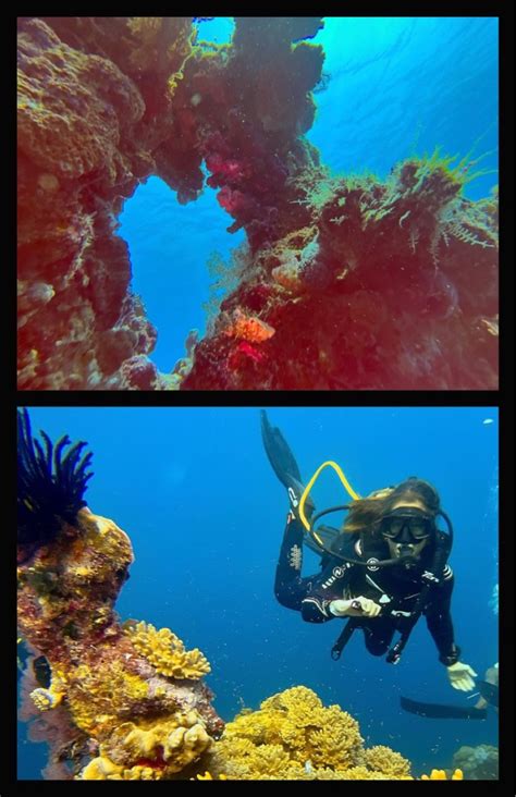 Have You Ever Considered The Power Of Leaving Things Alone In Some Remote Parts Of Indonesia