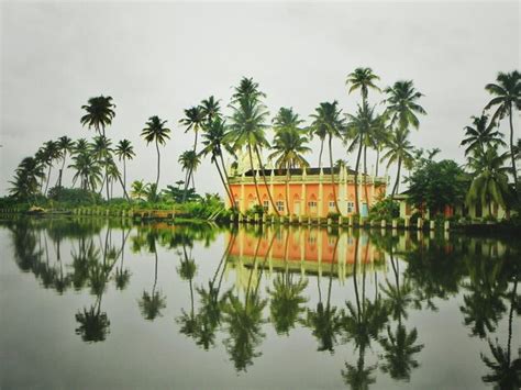 Premium Photo Reflection Of Trees In Water Premium Photo Reflection Of Trees In Water