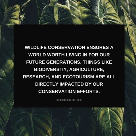 The Best Protecting Wildlife Quotes And Slogans