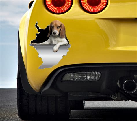 Perro Pegatina De Coche Decoraci N Pegatina Beagle Pegatina Etsy