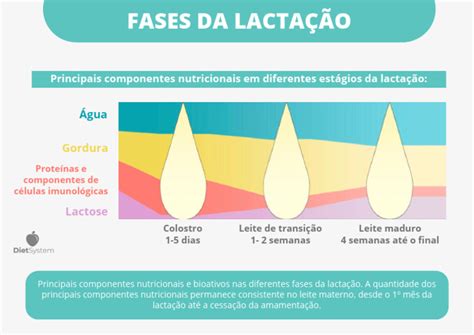 Fases Da LactaÇÃo Pdf