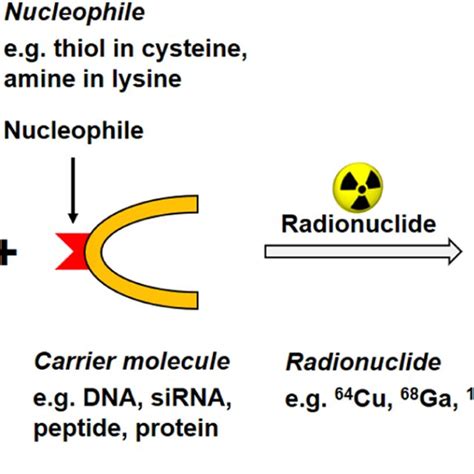 Schematic Reaction Illustration Of A Radionuclide Complexing