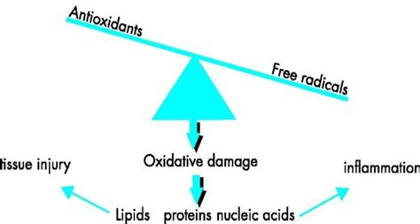Figure 21 From Anti Platelet Aggregation Activity Of Melaleuca