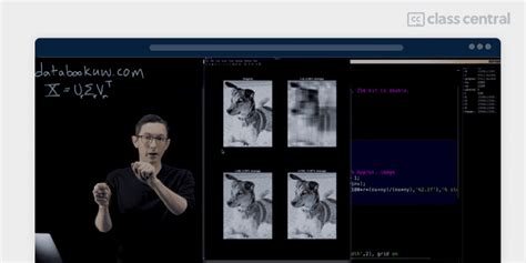 Unveiling The Mathematical Beauty Of Machine Learning A Review Of Steve Bruntons Course