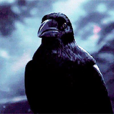 Maleficent Diaval Crow Maleficent Diaval Crow