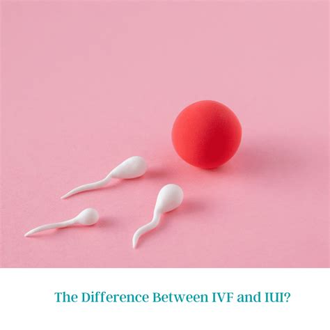 Whats The Difference Between Ivf And Iui Harley Street Fertility Centre