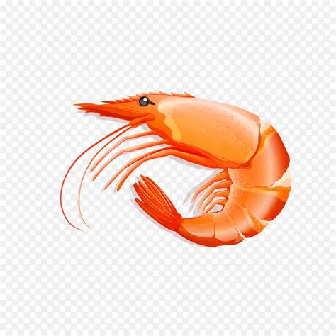 卡通虾矢量图下载png图片素材下载图片编号9591376 Png素材网