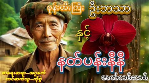 စုန်းထီးကြီးဦးဘသာ နှင့် နတ်ပန်းနီနီ အတွဲ၁အပိုင်း၈၉ Youtube