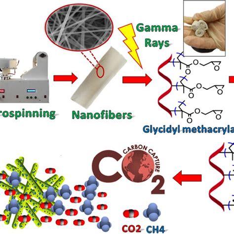 Schematic Procedure For The Preparation Of The Polymeric Adsorbents