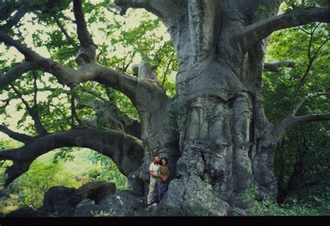 Employee Profile David Ife Ehs Support