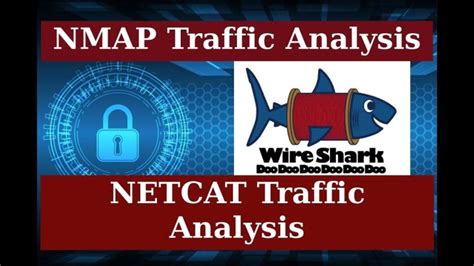 Prasenjit Kanti Paul On Linkedin Nmap And Netcat Traffic Analysis