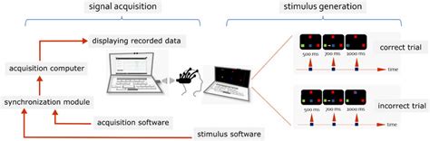experimental paradigm and data acquisition pipeline download