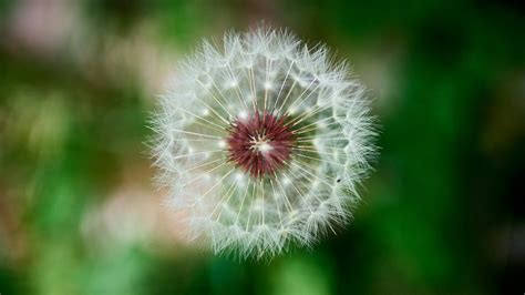 Code Smell 270 Boolean Apis