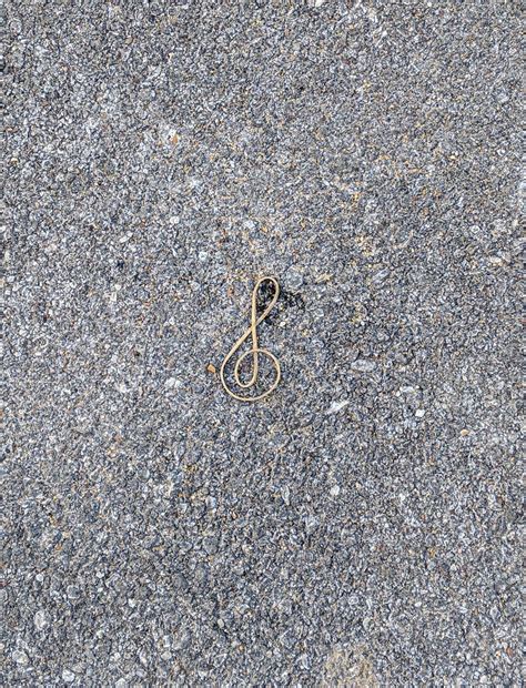 584 Best Clef Images On Pholder Dank Memes From Site19 Mildlyinteresting And Lingling40hrs