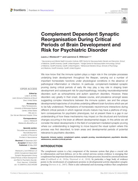 (PDF) Complement Dependent Synaptic Reorganisation During Critical Periods of Brain Development ...