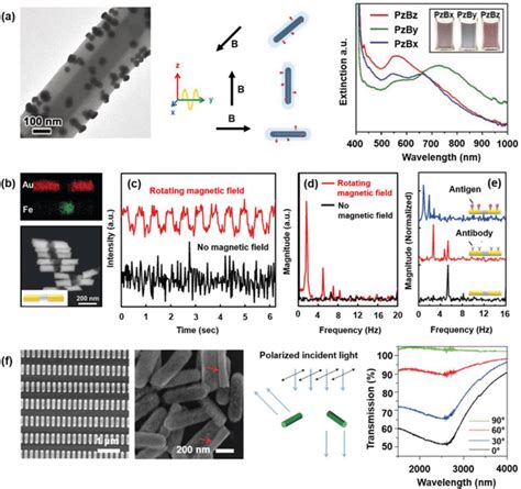 Magnetic‐field‐controlled Plasmonic Responses A Magnetic Tuning Of Download Scientific