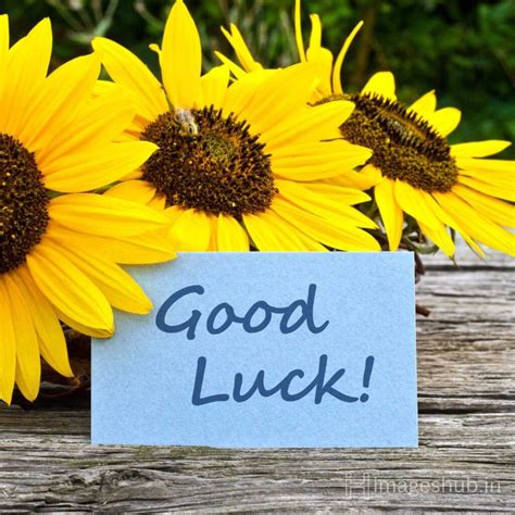10 Good Luck Best Of Luck Images Best Wishes Images