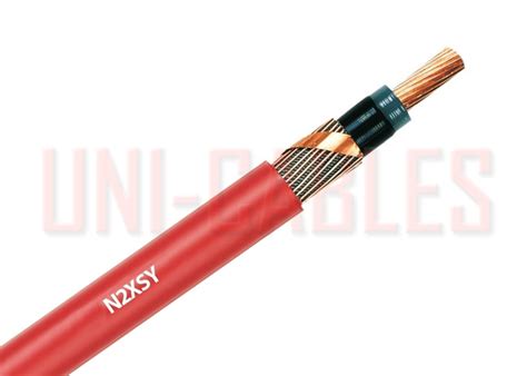 Outdoor N2xsy Medium Voltage Cable Direct Buried Class 2 Conductor In Electric Power Plants