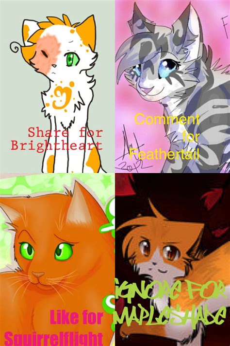 I Love Brightheart The Most Warrior Cats Mapleshade And Appledusk