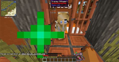 Ponified Villagers Textures Not Showing Correctly · Issue 228