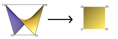 Information Theory Of Cognitive Systems Exponential Families