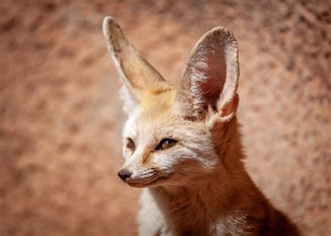 Science Trek Science Trek