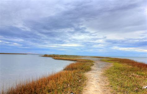 Lakeshore At Galveston Island State Park Texas Image Free Stock