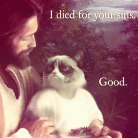 Grumpy Cat Meme Jesus Melissas Mochas Mysteries And Meows A Very