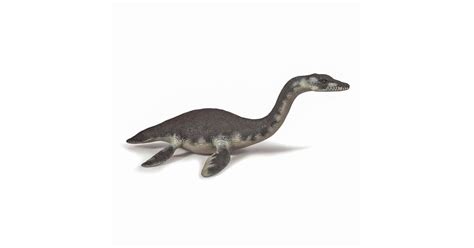 Papo Plesiosaurus Dinoszaurusz Figura 22cm Pepita Hu