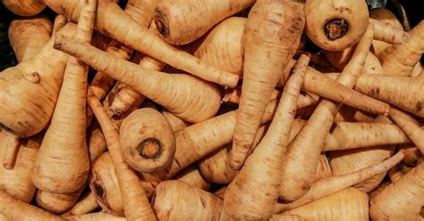 Best Earthy Alternatives To Parsnips For Your Dishes And Recipes Fitibility