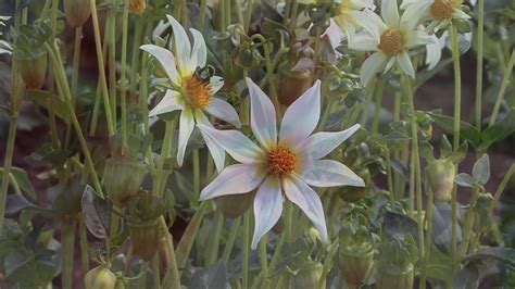 Butt Stuff By Creepypasta Storytime Youtube