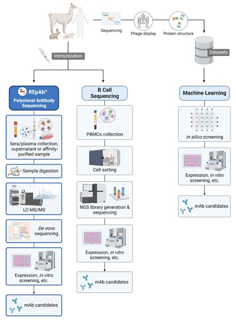 Antibody Discovery Platforms