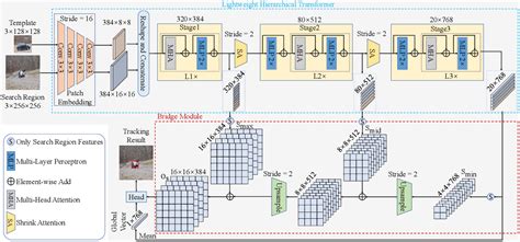 Figure 1 From Exploring Lightweight Hierarchical Vision Transformers For Efficient Visual