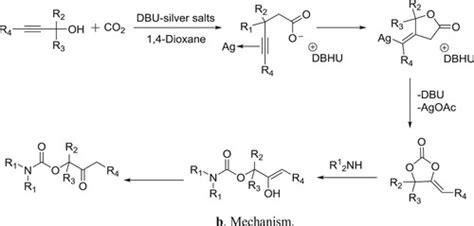 Full Article A Review On Dbu Mediated Organic Transformations