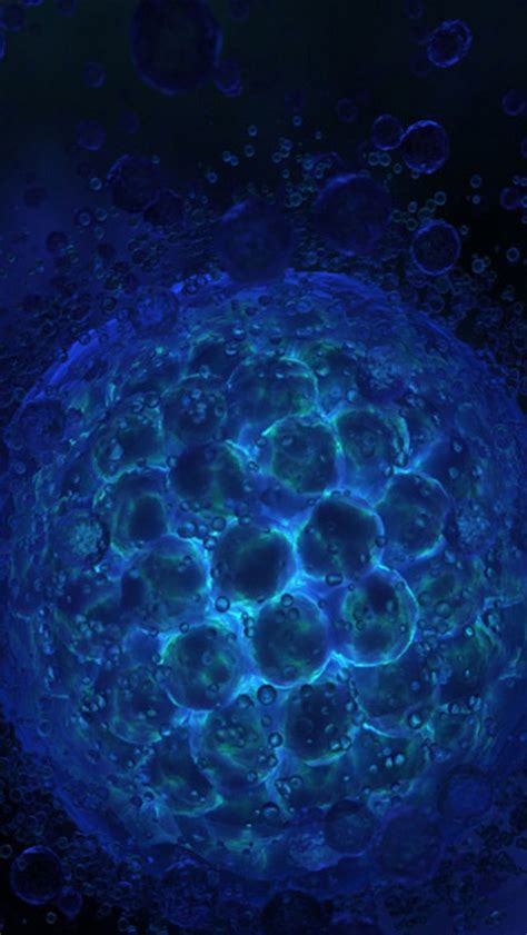 Bubble Burst IPhone Wallpapers Free Download