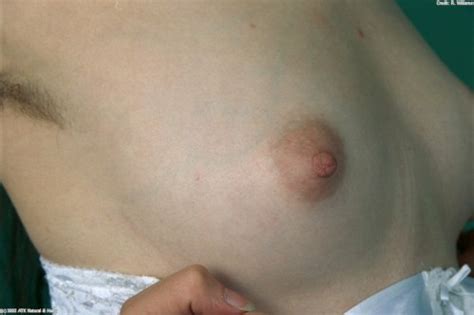 Carmen R Williams Atk Exotics