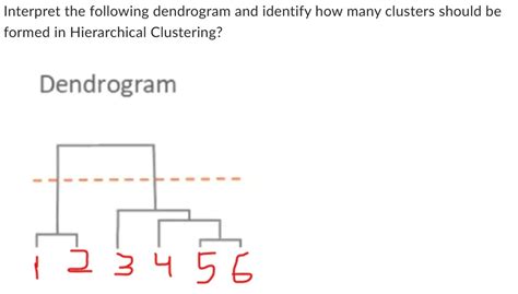 Interpret The Following Dendrogram And Studyx