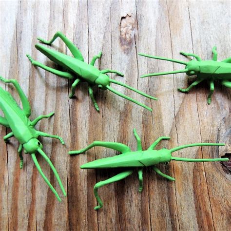 Grasshopper Etsy
