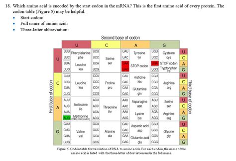 Amino Acid Codon Abbreviation Table Cabinets Matttroy