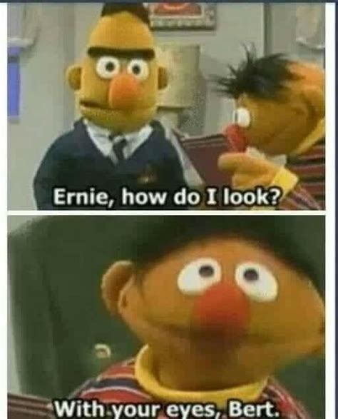 Bert Sesame Street Meme