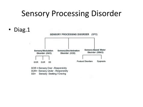 Sensory Processing Disorder Executive Function At Michelle Major Blog