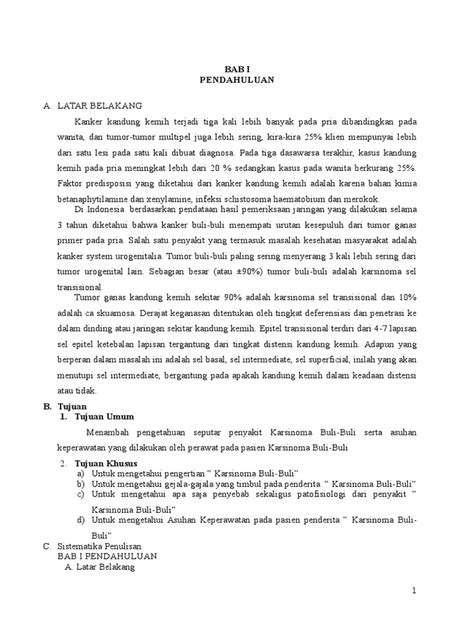 Askep Ca Buli Buli Pdf