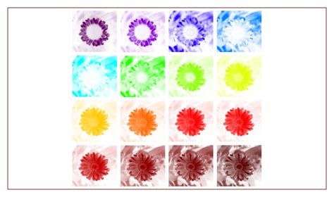 Hyperspectral Imaging Systems Guide To Indoor And Outdoor Resonon