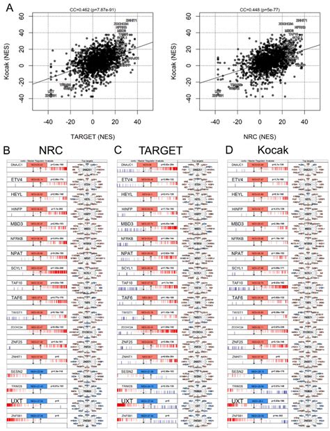 Be2c Vs Kelly Master Regulator Analysis Mra A Comparison Between Download Scientific