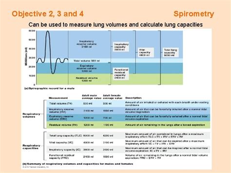 Biol 204 Lab For Week 9 Respiratory System